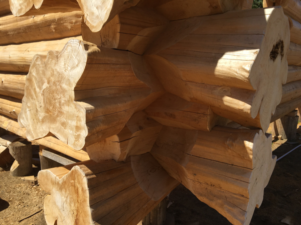 Log Buildings – AJP Oakworks – handcrafted log homes